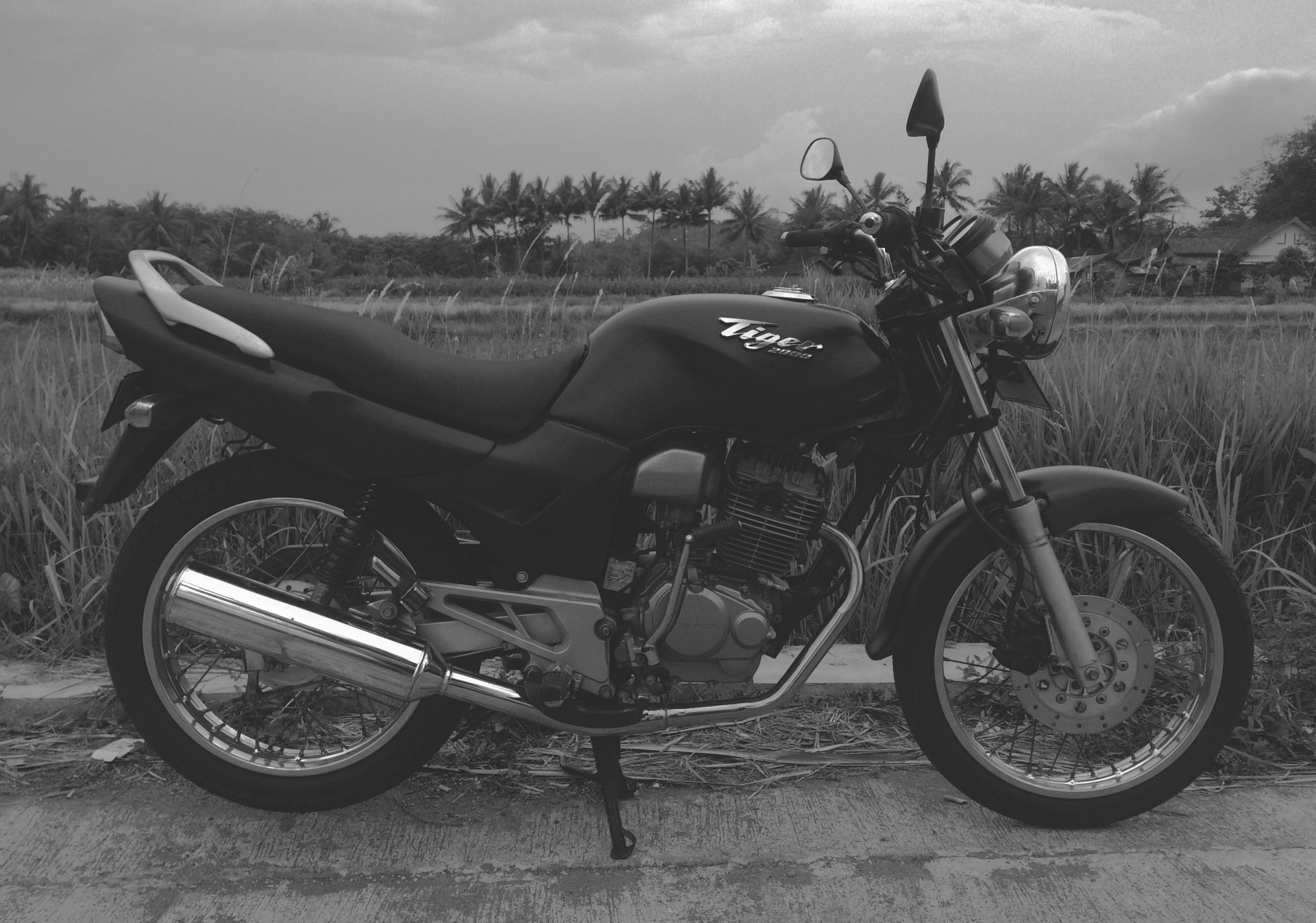 Yuk Intip Harga Motor Legenda Honda Tiger 2000 yang Masih Menjadi ...