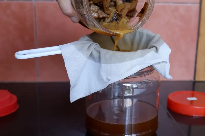 Mengenal Eco Enzyme, Mulai dari Cara Membuat hingga Manfaatnya - OLX News