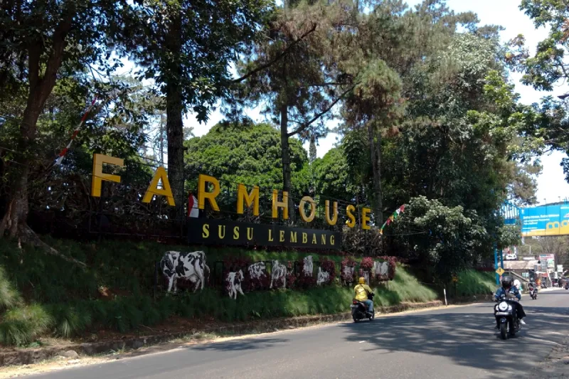 7 Tempat Wisata di Lembang Bandung yang Wajib Dikunjungi - OLX News