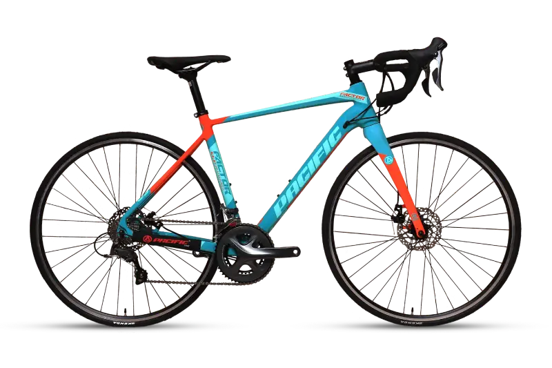 Berapa Harga Sepeda Fixie Sekarang? Cek 10 Rekomendasinya - OLX News